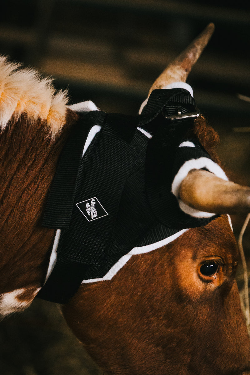 Horn Wraps – 100K EQUINE